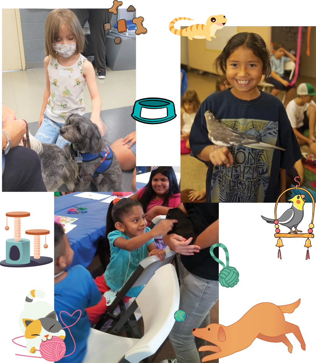 Critter Camp | First 5 Riverside County, Riverside County Children and ...